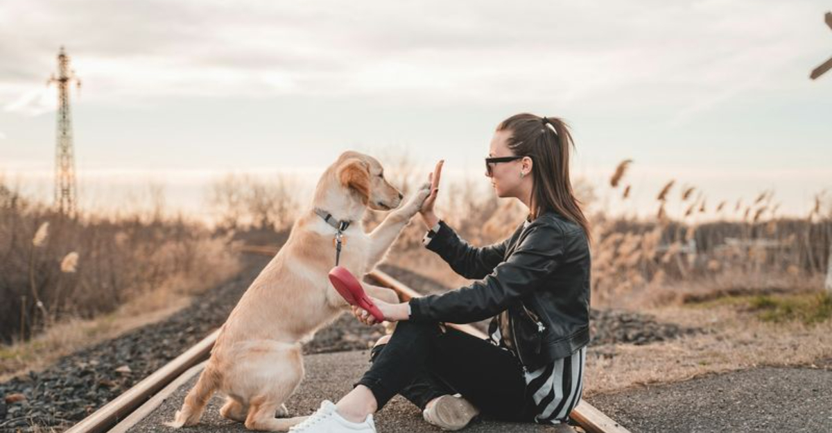 18 Ways To Discipline Your Dog Without Inflicting Trauma Or Making ...