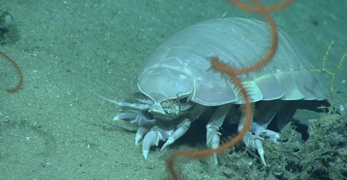 12 Gigantic Underground Animals Most People Don’t Know Exist ...