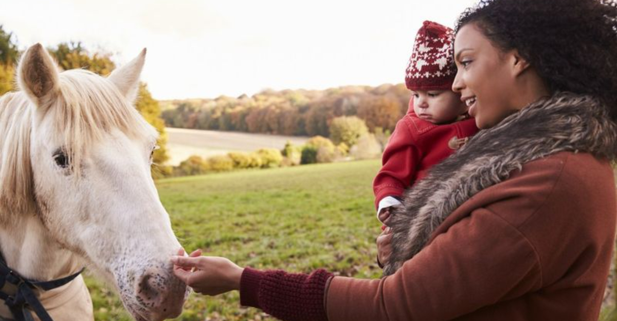 12 Unwritten Rules of Respect and Trust Between Horses and Their People ...