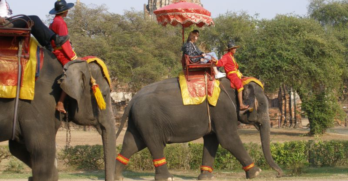 13 Animals That Became Symbols for Movements, Nations, or Revolutions ...