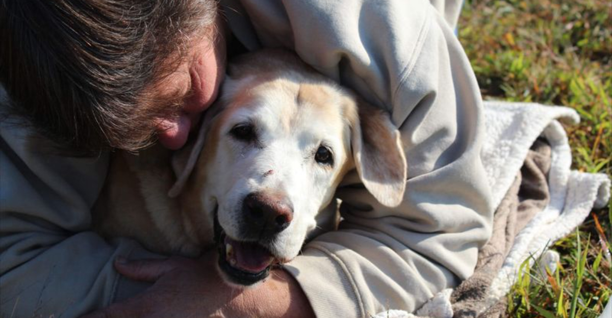 14 Beautiful Ways Older Pets Prove They’re Still Worth Adopting and ...