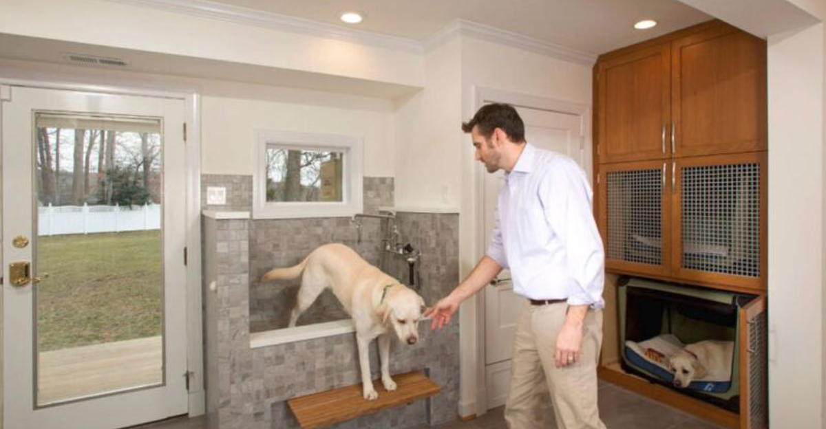 14 Essential Dog Cleaning Hacks for a Cleaner, Safer Home - Exploring ...
