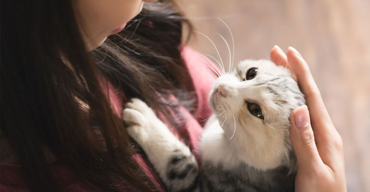 14 Subtle Ways Your Cat Shows Jealousy (And How to Keep the Peace ...