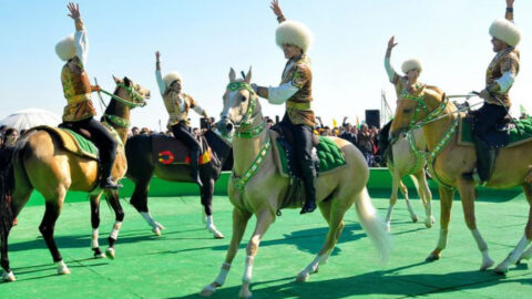 14 Things You Didn’t Know About the Akhal-Teke—The World’s Shiniest ...