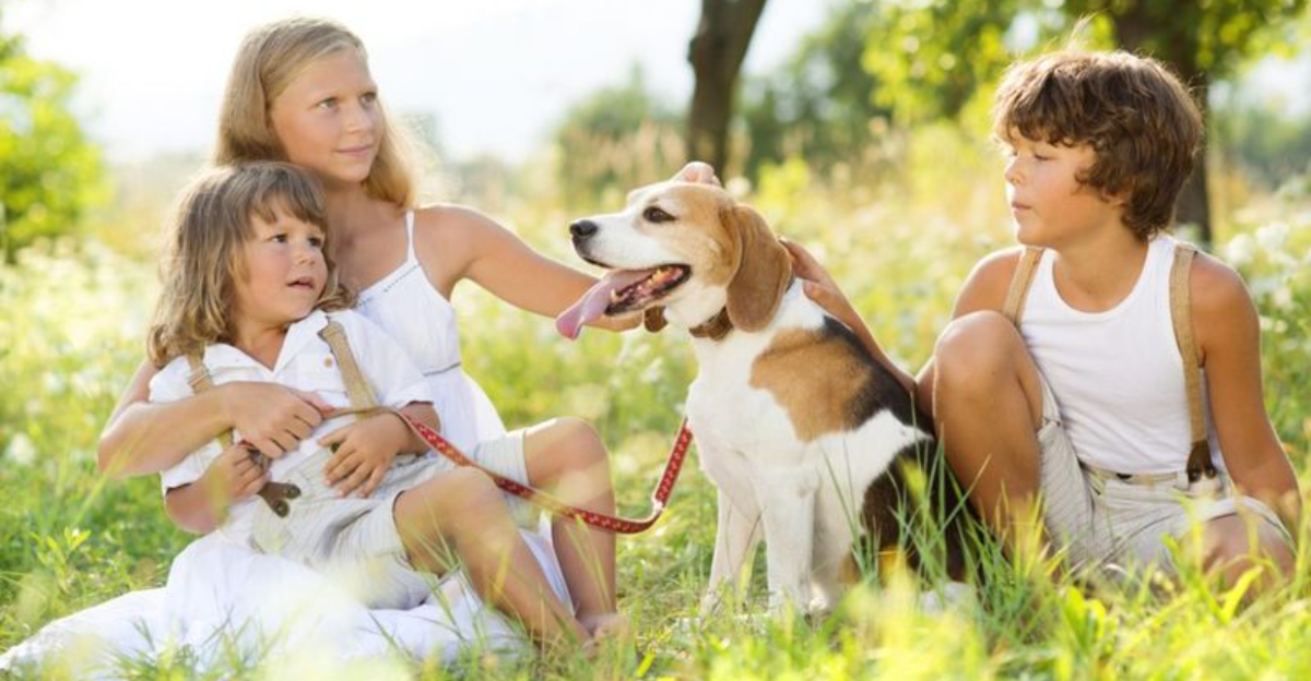 15 Pros and Cons of Owning a Beagle Every Family Should Know ...