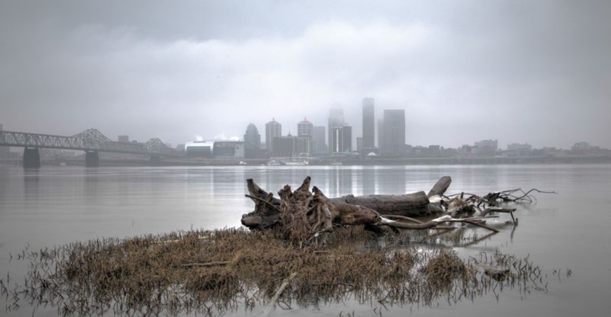 15 U.S. Rivers That Used to Be Full of Life—Now Barely Sustain Fish ...