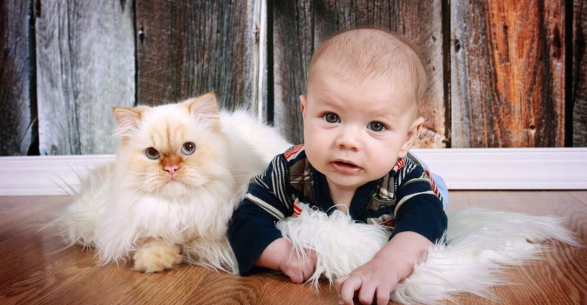 16 Cat Breeds That Stay Calm Around Toddlers Learning to Share Space ...