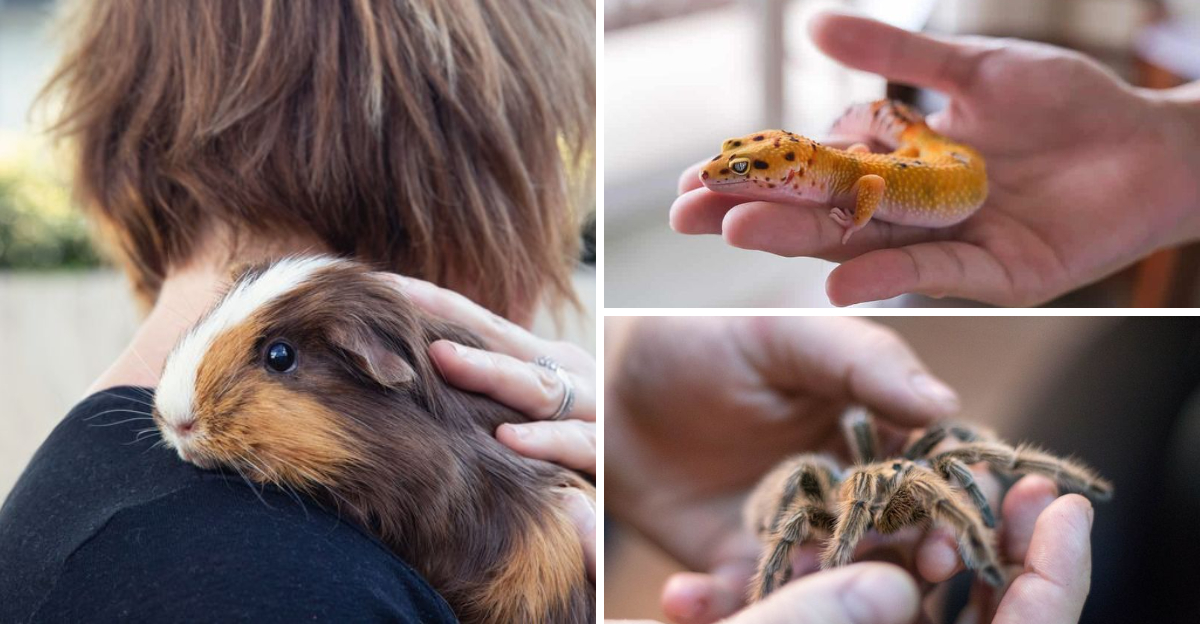 18 Pets That Only Gen Z Is Making Popular Again (And Why Boomers Can’t ...