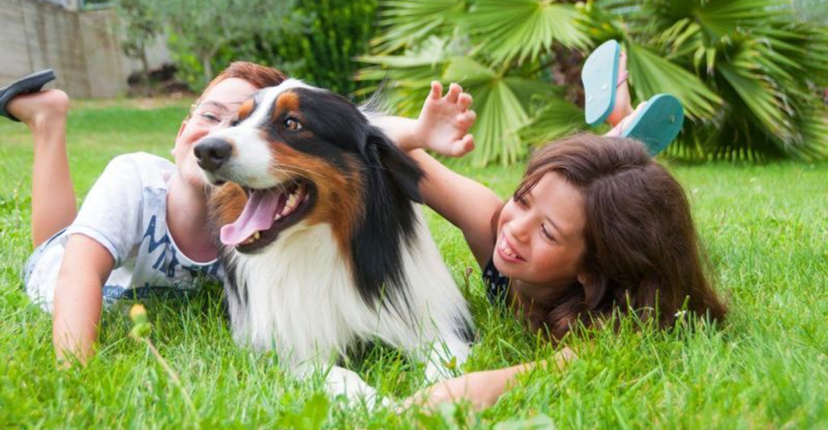 19 Dogs That Thrive on Chaos (And Why They’re Perfect for Messy ...