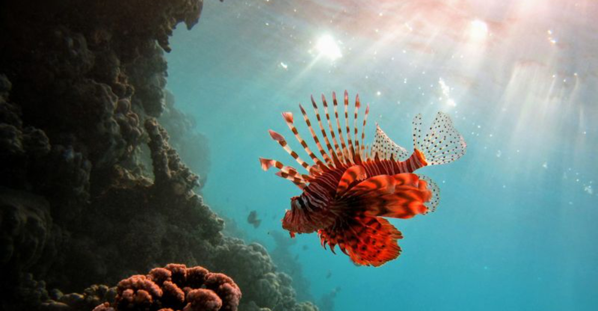 20 Amazing Oceanic Wildlife Species Everyone Should Know - Exploring ...