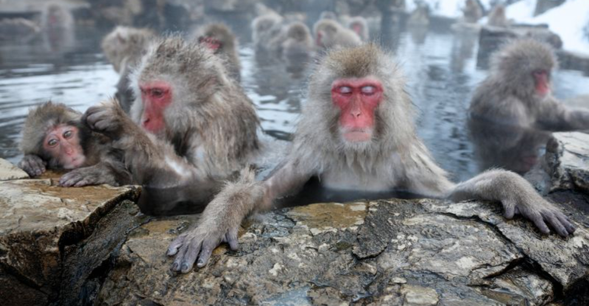 20 Animals That Have Evolved the Most in the Last Century (And Why ...