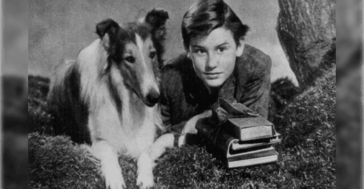 20 Dog Breeds That Were America's Favorites in the 1970s (And Where ...