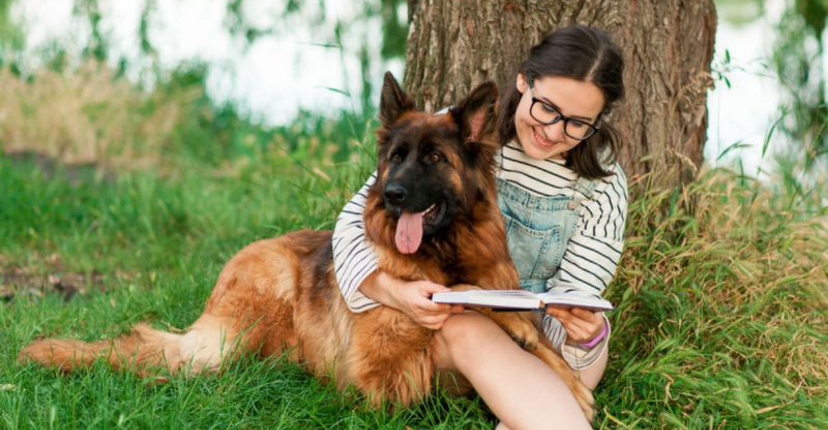 21 Dog Breeds That Are the Most Devoted to People - Exploring Animals