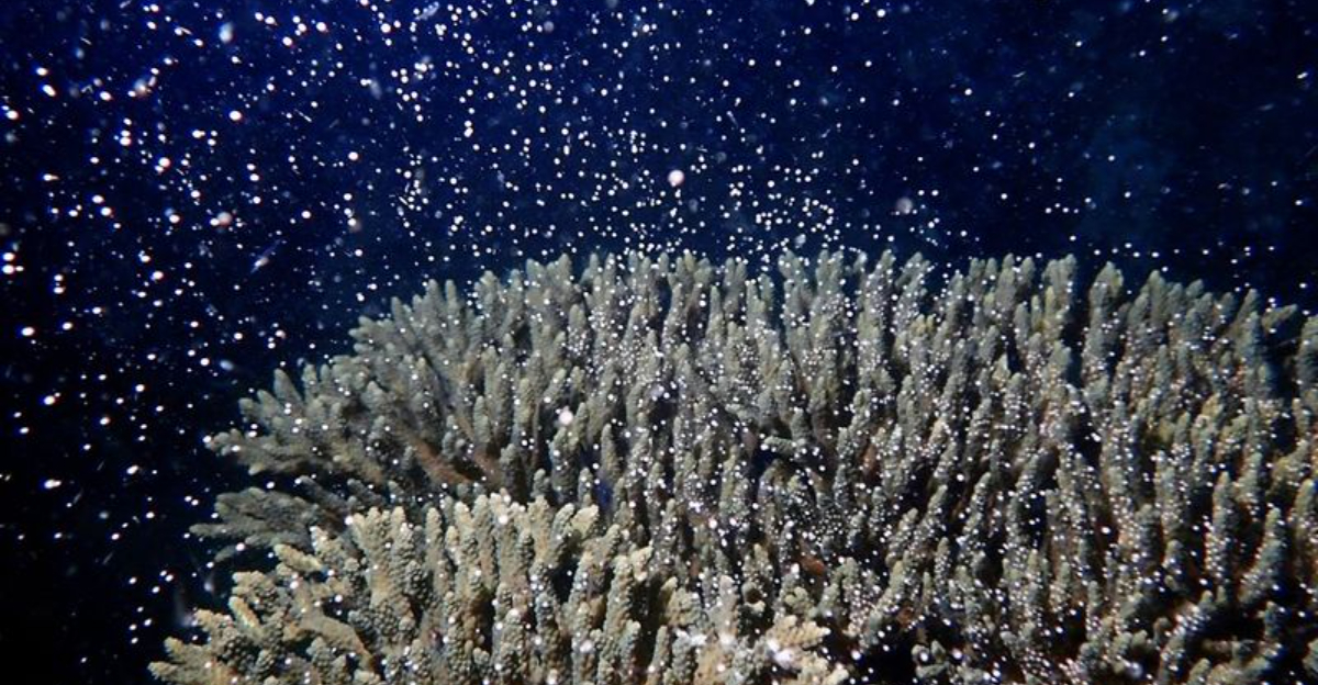 Creatures That Only Come Out During a Full Moon (and Why) - Exploring ...