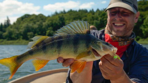 Deep Lake Fish Species That Only Show Themselves During Specific ...