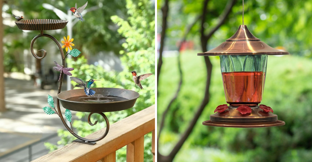 The Best Places to Hang Hummingbird Feeders to Attract More Birds ...