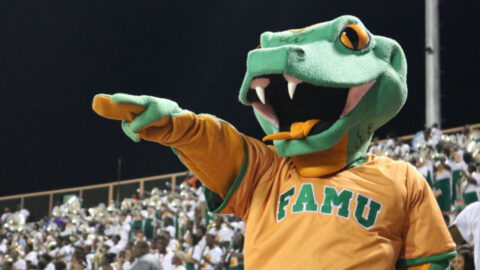 18 American Animals That Became the Mascots of Sports Teams - Exploring ...