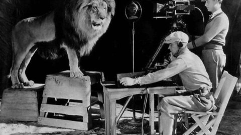 11 Forgotten Animal Heroes of American History (That Never Made It Into ...