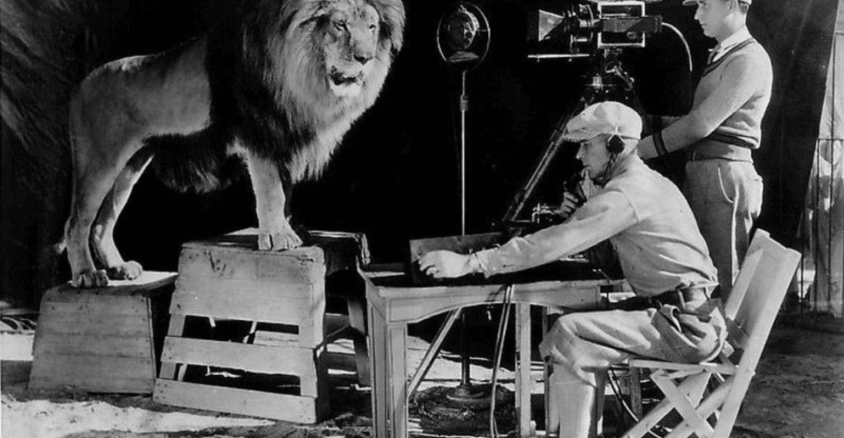 11 Forgotten Animal Heroes of American History (That Never Made It Into ...