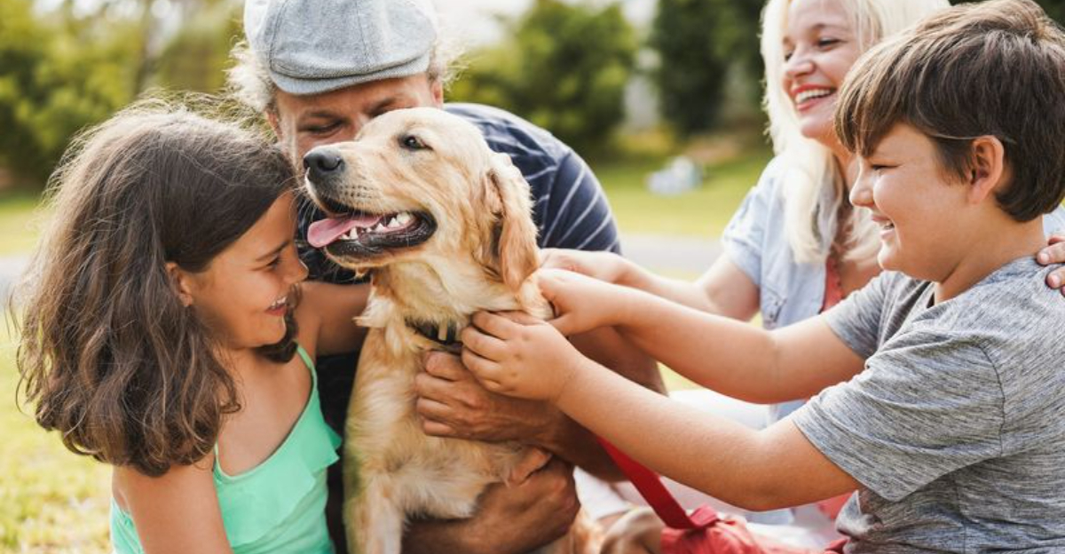 How to Choose a Dog That Feels Like It Was Made for Your Family ...