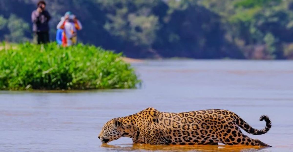 21 National Parks Every Animal-Obsessed Person Needs to Visit ...