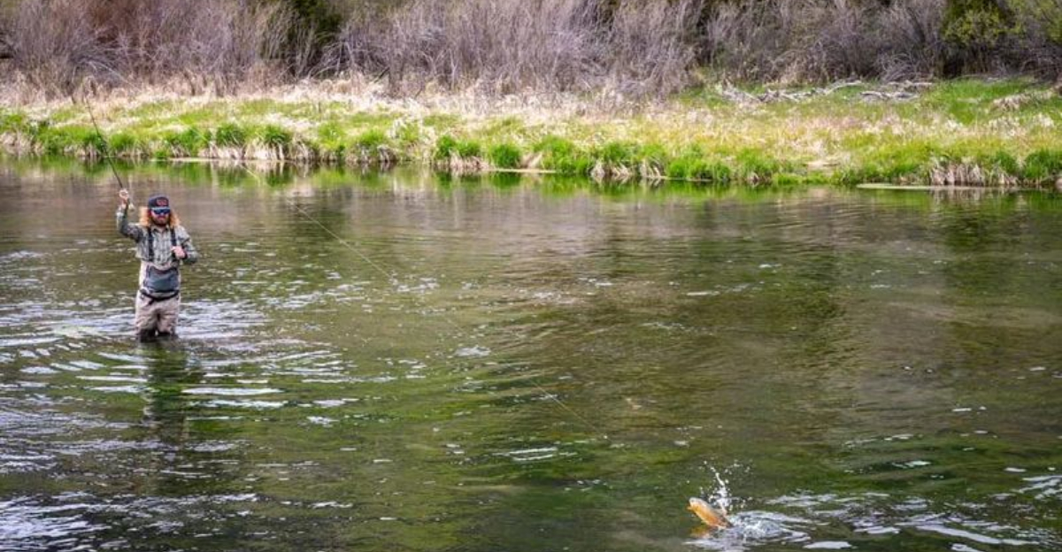 10 Effective Trout Fishing Techniques for Clear Water (And 5 You Can ...