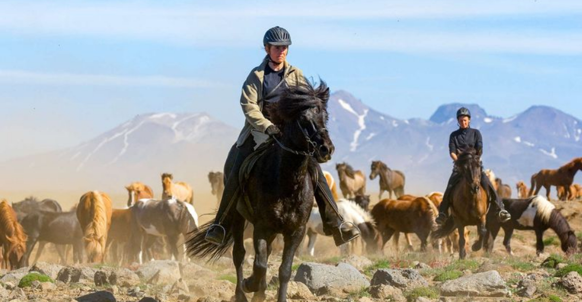 10 Horse Breeds That Excel in Trail Riding (And 10 That Struggle on ...