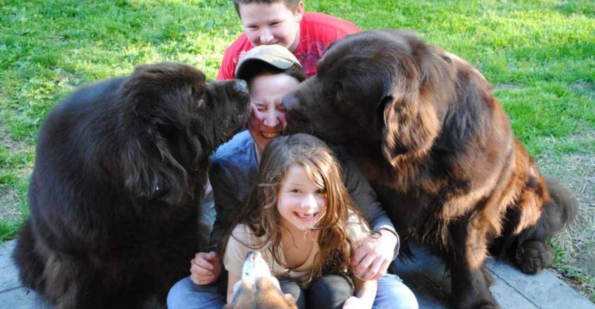 10 Social Dogs That Love Strangers (And 10 That Are Born to Guard ...