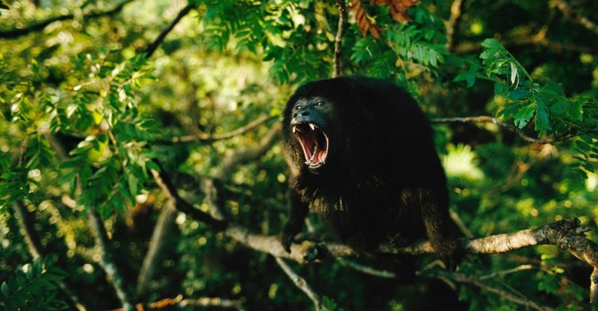 12 Loudest Animals on Earth (And 10 That Are Practically Silent ...