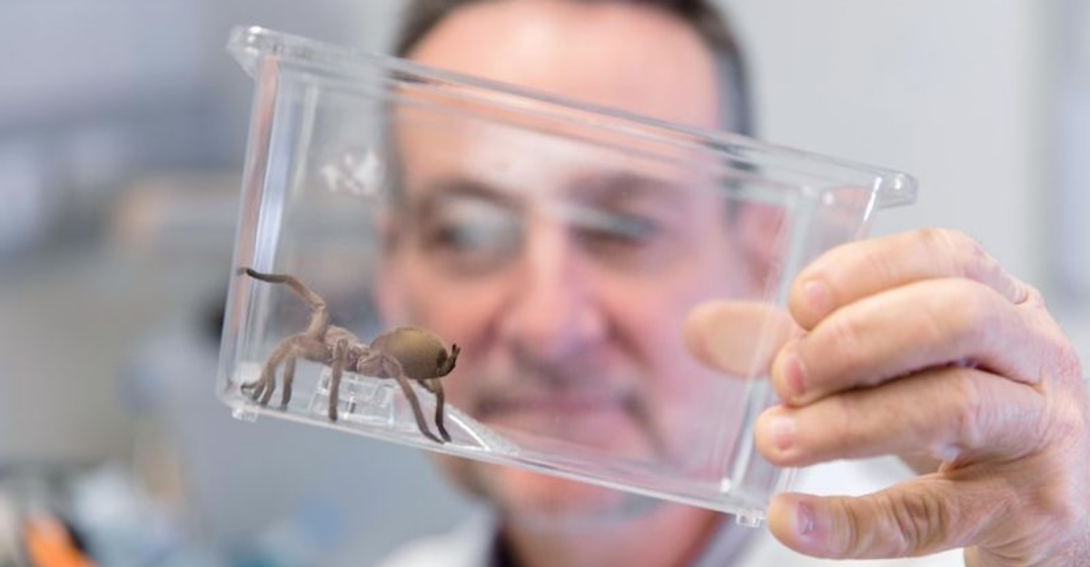 12 Misunderstood Venomous Creatures That Actually Save Thousands of ...