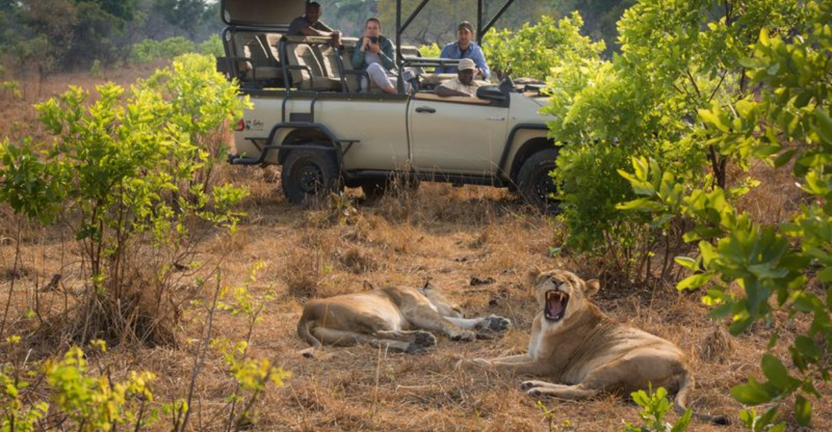 12 National Parks With More Wildlife Than Visitors (And That’s a Good ...