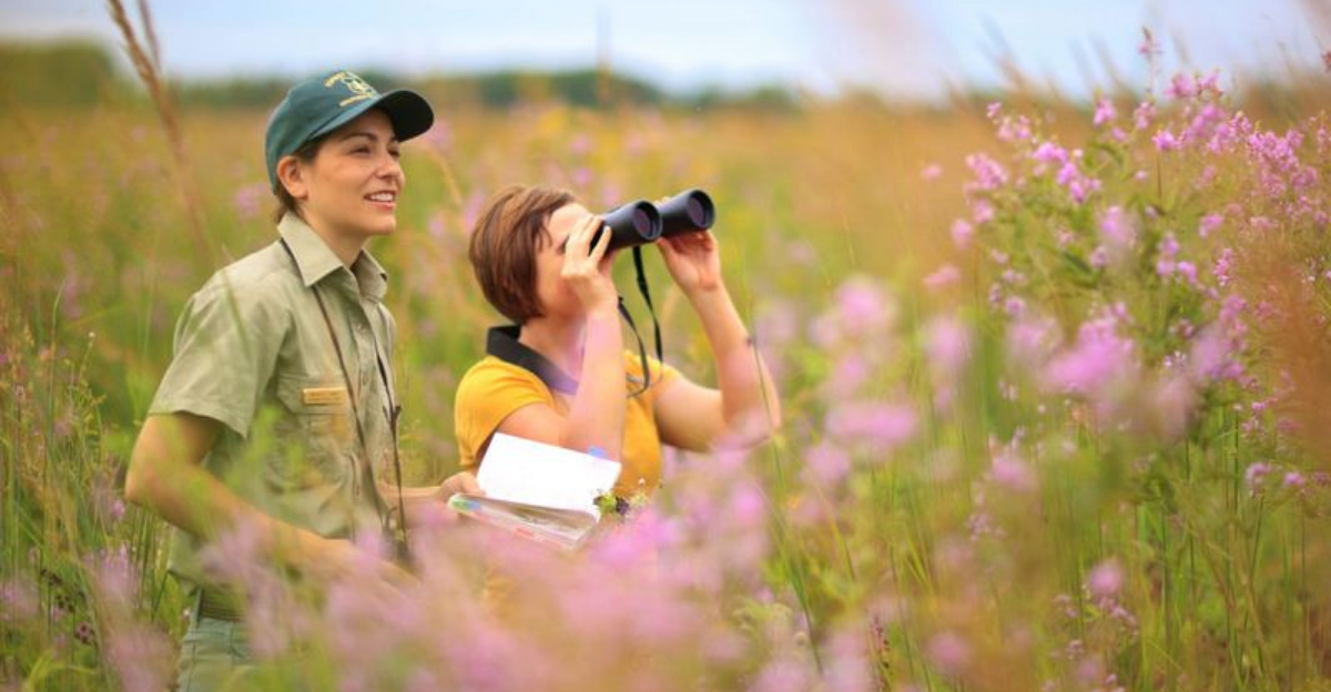 13 Birdwatching Mistakes Beginners Make (And Expert Tricks to Spot Rare ...