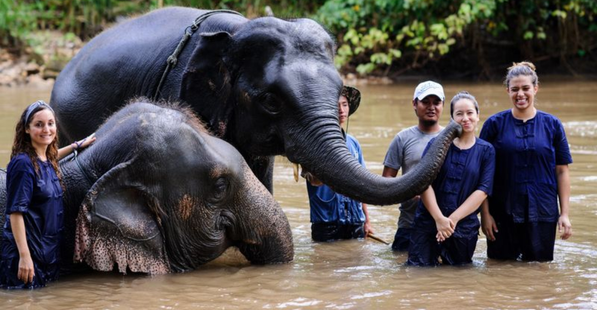 13 Conservation Efforts You Can Support - Exploring Animals