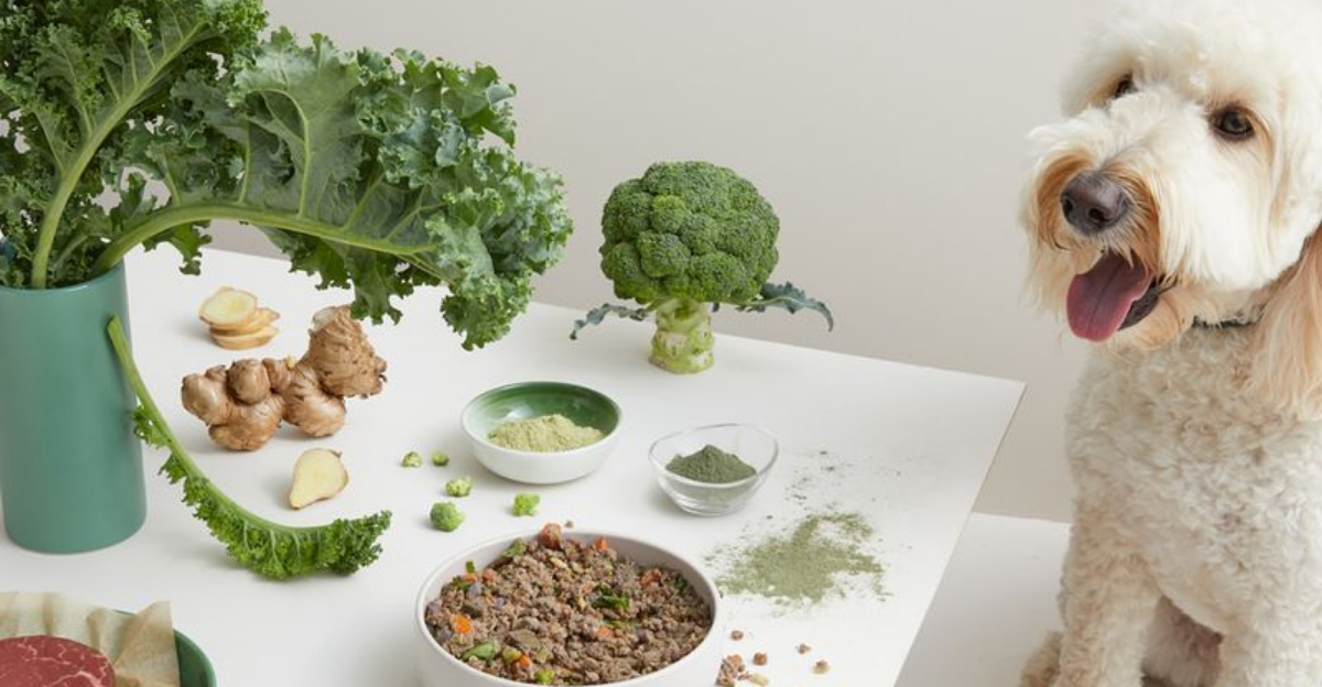14 Alternative Protein Sources Transforming Pet Nutrition - Exploring ...
