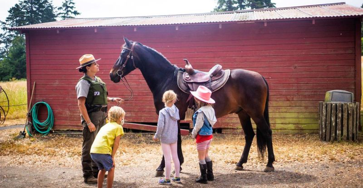 14 Gentle Giants: Horse Breeds That Are Surprisingly Safe for Children ...