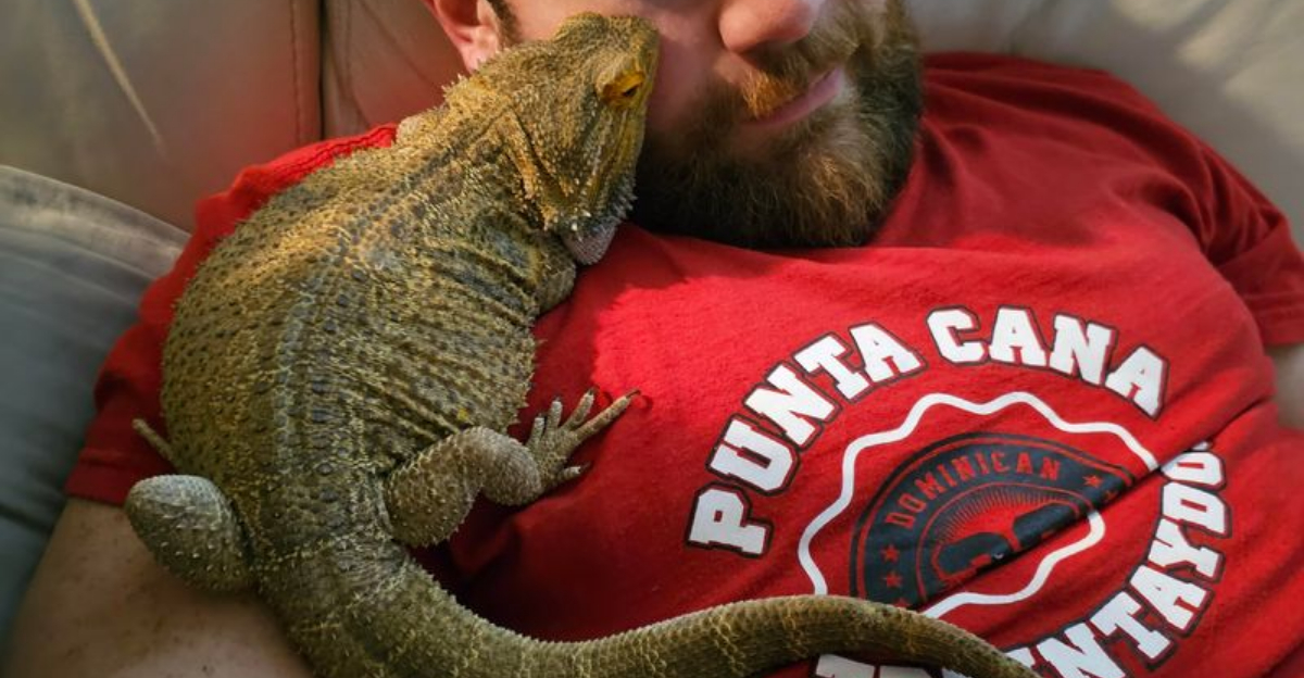 14 Pets That Are More Affectionate Than You'd Expect - Exploring Animals