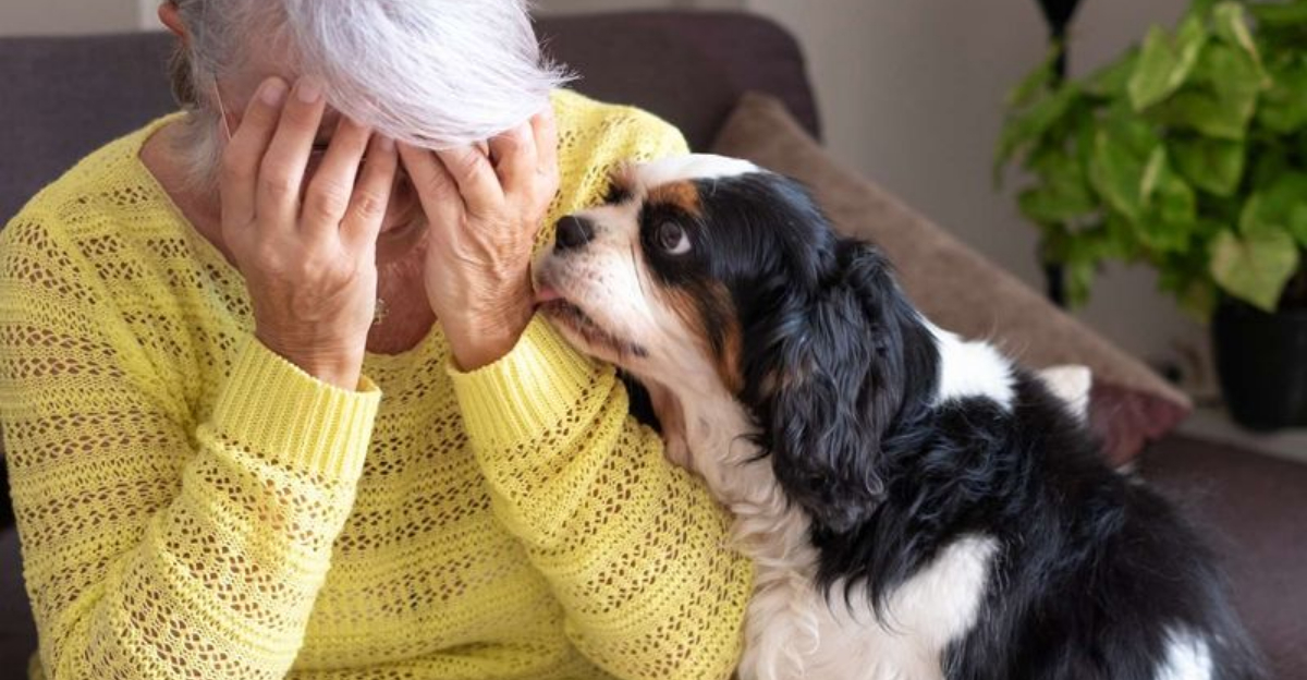 14 Ways Your Pet Shows More Loyalty Than Your Friends - Exploring Animals