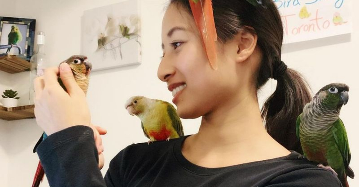 15 Common Mistakes Bird Owners Often Make - Exploring Animals