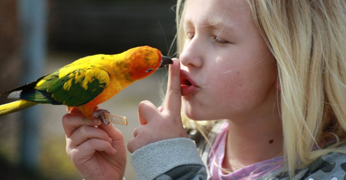 15 Common Myths About Pet Birds – Debunked - Exploring Animals