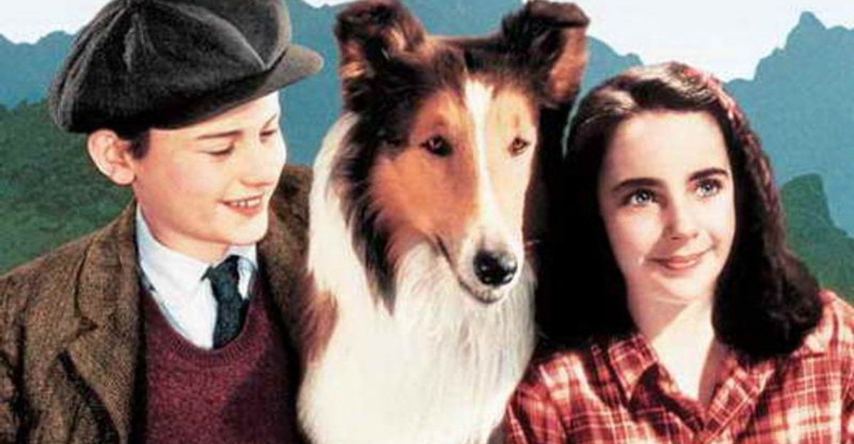 15 Great Dog Movies Everyone Needs To Watch - Exploring Animals