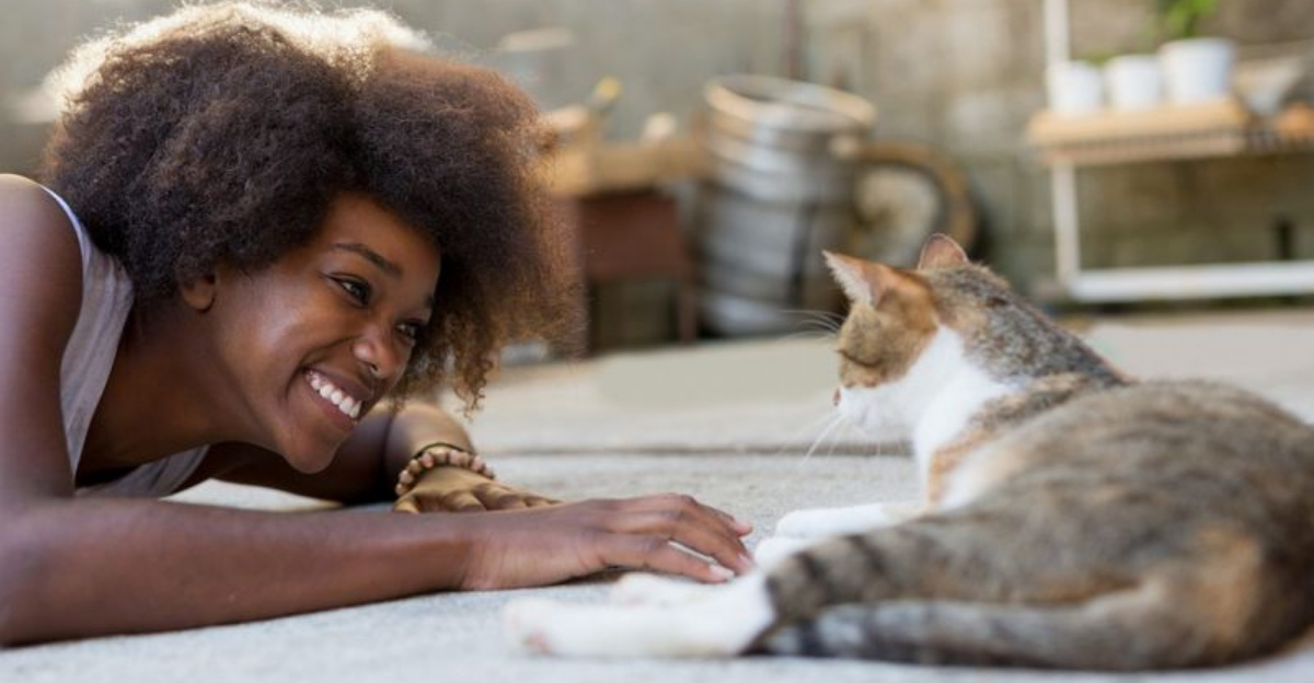 15 Steps to Find a Cat Sitter Your Feline Will Love - Exploring Animals