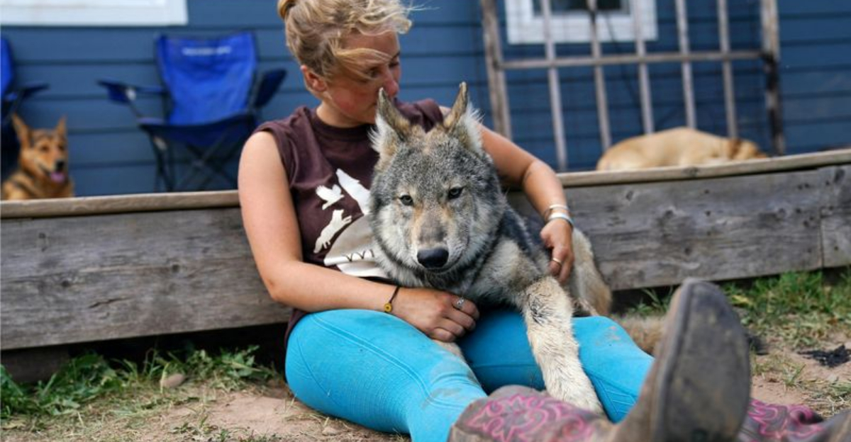 15 Surprising Ways Wolves Actually Help Farmers (Despite What You've ...