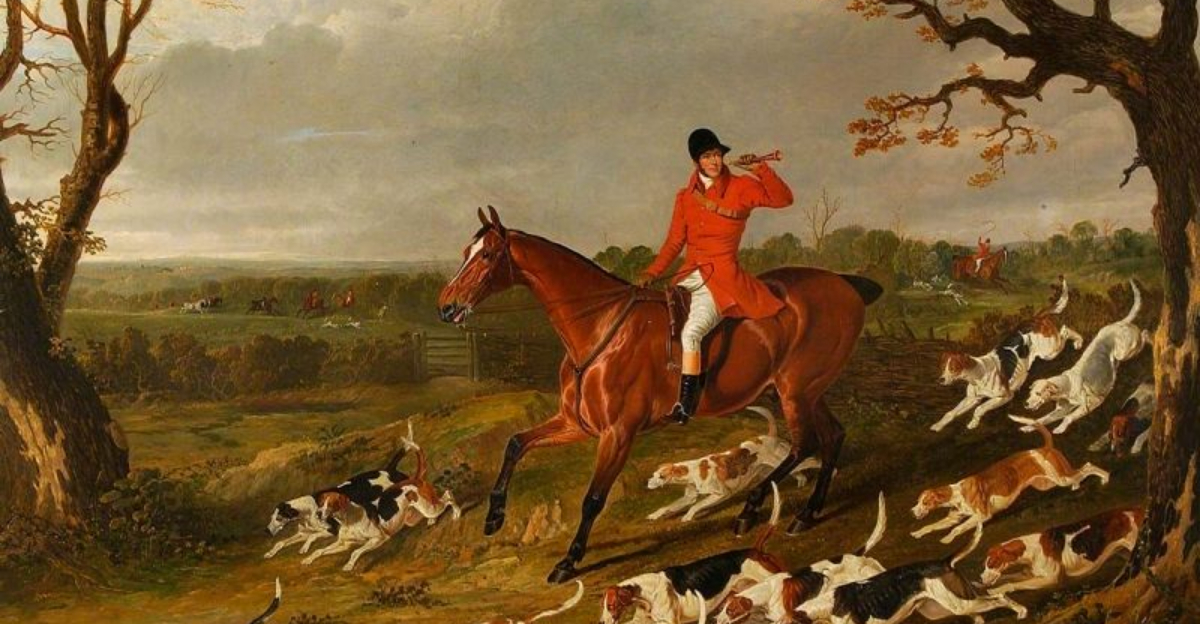 16 Fascinating Traits That Make the American Foxhound Stand Out ...