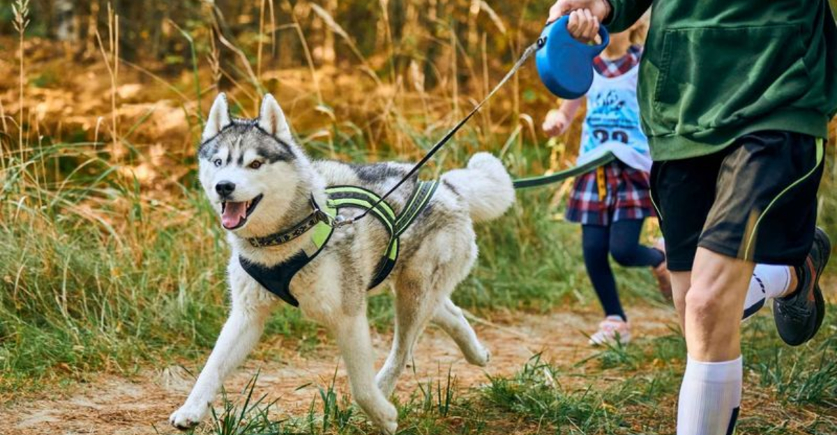16 Surprising Ways Dogs Adapt Their Behavior to Match Their Owner's Personality - Exploring Animals