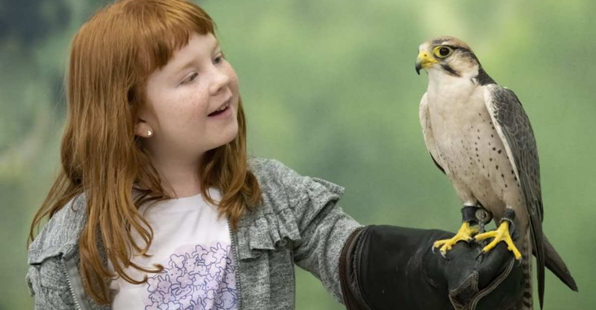17 Bird Species That Form Unusual Bonds With Humans (And How They Show ...
