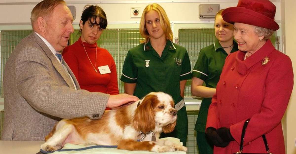 17 British Dog Breeds Behind Today’s Most Popular Pups - Exploring Animals