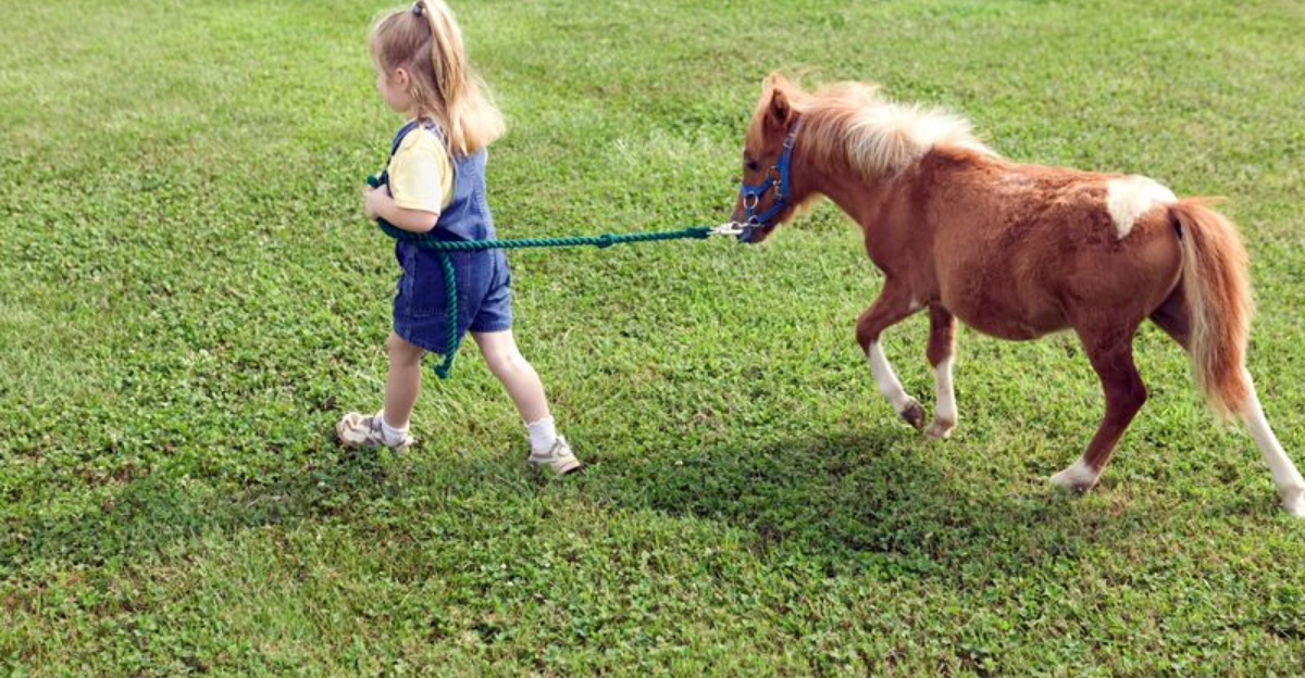 17 Reasons Why Miniature Horses Make Perfect Suburban Pets - Exploring ...