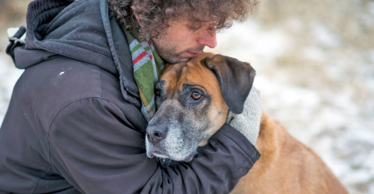 18 Behaviors That Show Your Dog Has an Old Soul (According to Animal ...