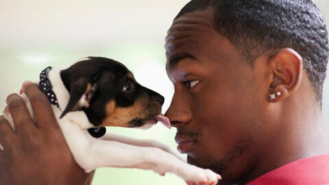 18 Ways to Turn Your Dog Into the Well-Behaved Pet Everyone Loves ...