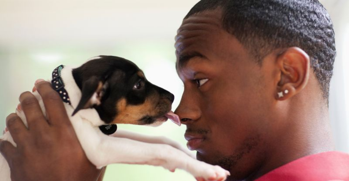 18 Ways to Turn Your Dog Into the Well-Behaved Pet Everyone Loves ...